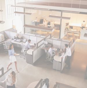 Prolon | Light Commercial Building Automation